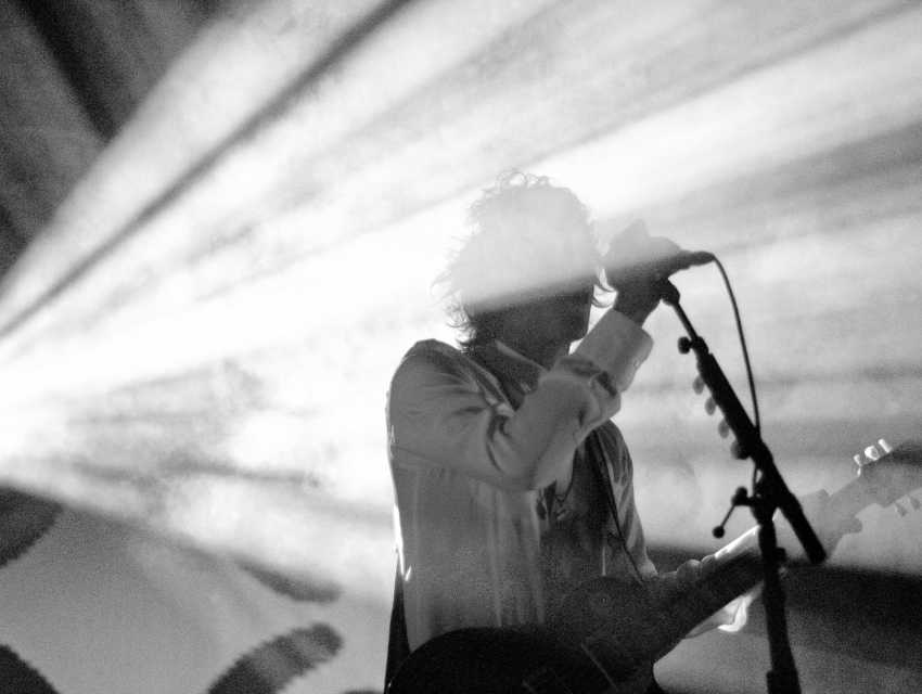 Swamp Cabbage Festival, Feb 24th 6:00pm, LaBelle, eventseeker